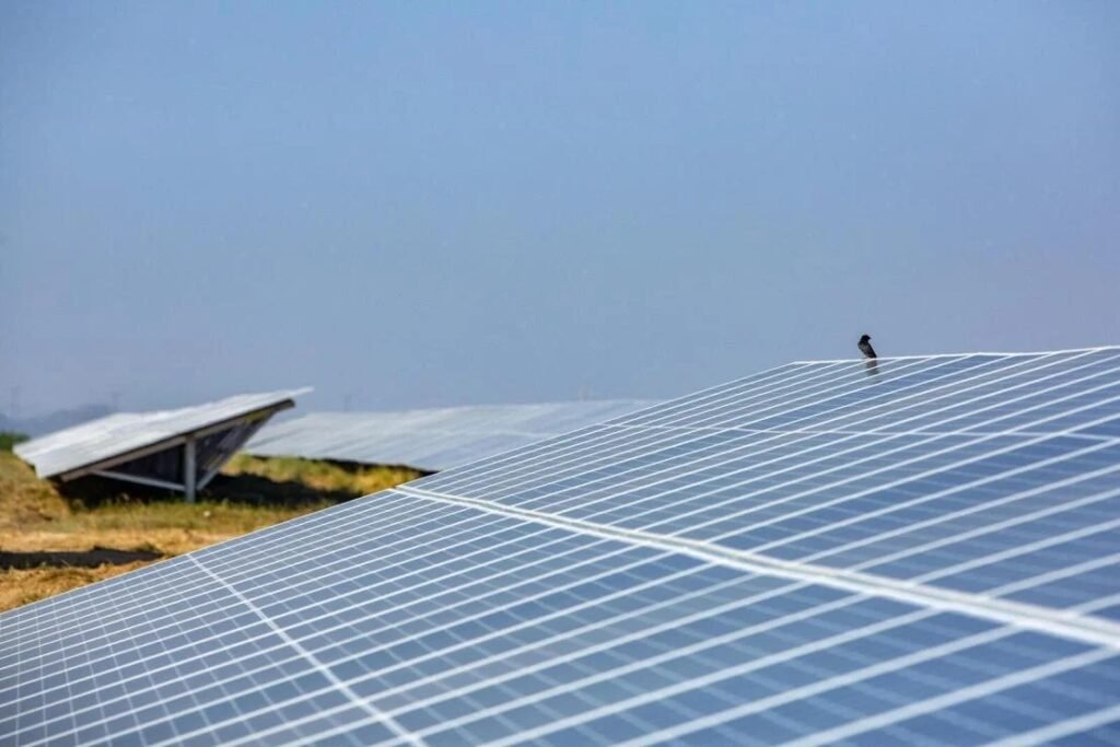 Qatar's first large-scale solar plant by TotalEnergies consortium ...